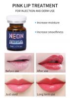 China Private Label Meso Luxury Brand Hyaluronic Acid Lip Care Moisturizing Pink Lip Plumping Serum Injection for sale