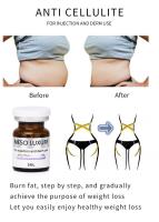 China Private Label Meso Luxury Anti Cellulite Body Slimming Fat Burn Weight Loss Mesotherapy Serum Injection for sale