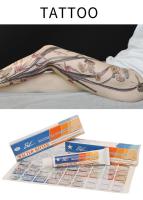 China Bl Tattoo Numbing Cream High Quality Semi-Permanent Makeup Lidocaine Cream Good Price OEM Beauty Tattoo for sale