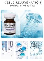 China OEM Private Label Cell Rejuvenation Skin Booster Deeply Hydrating Anti-Aging Moisturizing Skin Mesotherapy Serum for sale