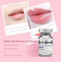 China Custom Private Label Pink Lip Care Essence Nourishing and Reduce Lip Lines Treatment Organic Hydrating Plumper Collagen Lip Serum for sale