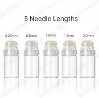 China Hydra Micro Needle Titanium Tips Derma Needles Skin Care Anti Aging Whiten Bottle Stamp Serum Injection Reusable 20 Pin for sale