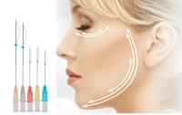 China Stable Absorbable Korea Barbed 4D Cog W Blunt Pcl Pdo Thread for Cheek Lifting Body Tightening for sale
