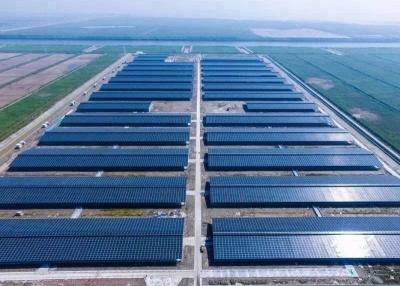 China 290W-295W Polycrystalline Solar Panel 60 Cells 1640x992mm Commercial PV Module for sale