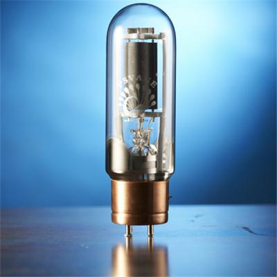 China #845B,PSVANE TUBES,Hi-Fi Series. for sale