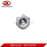China ISUZU NKR94T Oil Pump Relief Valve 8973119761 WW-4J412 Engine Part for sale