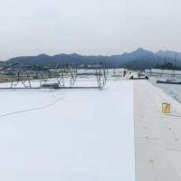 China UV Resistant Roof PVC Waterproof Membranes Has A Long Service Life for sale