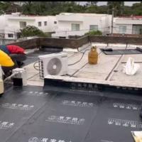 China High Temperature Resistant Bituminous Waterproof Membrane 5mm APP Bitumen Membrane Roll for sale