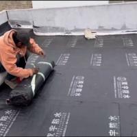 China SBS Modified Bituminous Waterproof Membrane For Waterproofing Of Building Roofs And Walls for sale