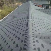 China Black Roofing Asphalt Shingle Anti Corrosion For Building Roofs for sale
