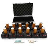 China 10 Channel Remote Fireworks Firing System D10 With 2pcs AA Battery for sale