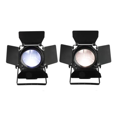 China 200W COB Zoom Par Lighting Warm White LED Par Light High Power for sale