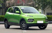 China Dayun Yuehu Small SUV EV Cars 2022 300KM Pure Electric 5 Doors 5 Seats for sale