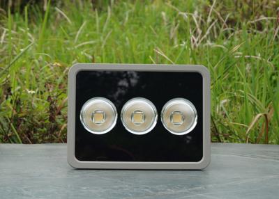 China 150W LED Flood Light COB Ultral Bright Outdoor Landscape Garden Lighting AC 85 - 265 V for sale