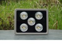 China 250W Garden Exterior LED Flood Lights 110lm/W 50000 Hours Lifespan ROHS  Approved for sale