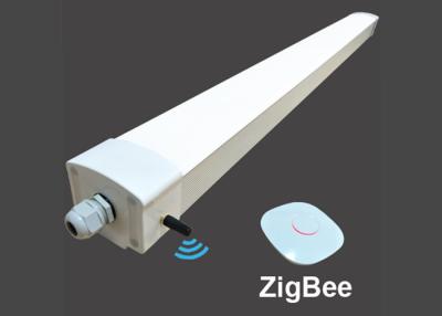 China Energy Saving LED Tri Proof Lights 48 Inch Led Tube Light T8 RoHS Approved for sale