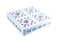 China COB Led Plant Grow Lights  4PCS COB 64 PCS Dual Chip Hydroponics System for sale