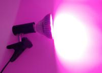 China Greenhouse Full Spectrum LED Grow Lights 78 Red 24 Blue For Hydroponics Plant Seeding for sale