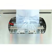 China Back Sealing Automatic Liquid Packing Machine 32cm Film Width Pneumatic Packaging Machines for sale