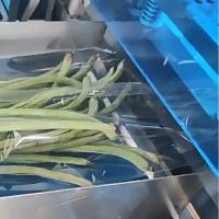 China 4KW Pillow Type Packing Machine 220V Vegetable Packaging Machine 20Bags/Min - 100Bags/Min for sale