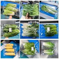 China 4KW Pillow Type Packing Machine 220V Vegetable Packaging Machine 20Bags/Min - 100Bags/Min for sale