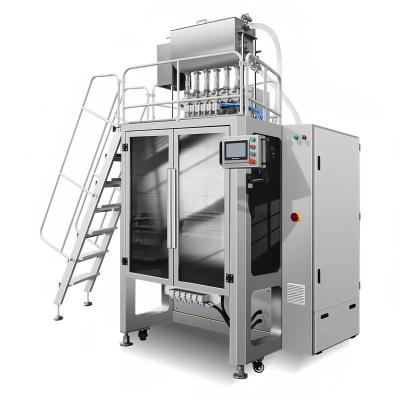 China 6 Lanes Multi Lane Packing Machine Liquid Paste Strip Packaging Machine 220V for sale