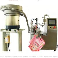China 2kw Rotary Pouch Filling Machine Servo Magnetic Pouch Filling Sealing Machine for sale