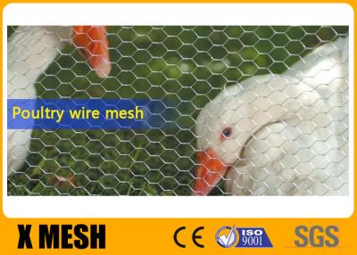 China Acid Resistance 20Ga Stainless Steel Chicken Wire Fence Poultry Netting for sale
