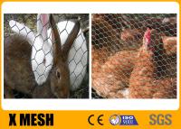 China Firm Structure Chicken Wire Rabbit Fence 22Ga 48 Inch X150 Inch for sale