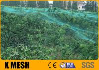 China Diamond Type Plastic Mesh Netting With Uv Resistance Black Color For Bird Control for sale
