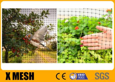 China Uv Resistance Plastic Mesh Netting 4m Width By 12m Length 5 Years Using Life for sale