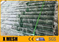 China Width 2000mm Anti Climb Mesh Fence BS EN 13438 Galvanized Wire Mesh Sheets for sale