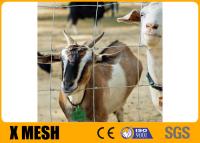 China Hinge Joint Metal Farm Fence 2.5mm Wire Grassland Fence for sale