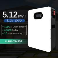 China 10kWh Wall Mount Solar Battery - 51.2V LiFePO4 with 8000+ Cycle Life and 10-Year Warranty for sale