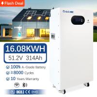 China 51.2V 314Ah LiFePO4 Solar Battery - 16.08 kWh Energy Storage with Bluetooth/WiFi BMS for sale