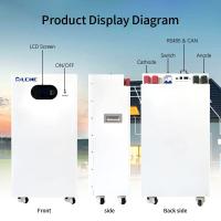 China 51.2V 314Ah LiFePO4 Solar Battery - 16.08 kWh Energy Storage with Bluetooth/WiFi BMS for sale
