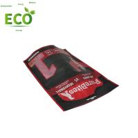 China Custom Printing Eco Friendly Biodegrad Doypack Mylar Stand up Pouch Bag Resealable Zipper Snack Bag for Pets Dry Food Bag for sale