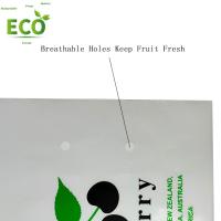 China Opp Customized Logo Plastic Bag With Preserved Permeable Hole Cherry Fresh Fruit and Vegetables Packaging Bag for sale