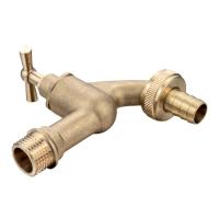 China Male Thread Water Sanitary Polished Brass Garden Hose Water Bib Tap for sale