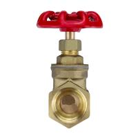 China Brass BSPT Stop Valve 4 Inch Water DN20 Oil And Gas Pipeline Manual PN16 Brass Gate Valve for sale