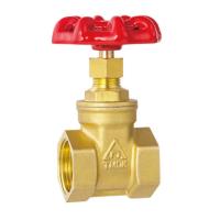 China Sanitary 2 Inch DN50 PN16 Brass Color Body Brass Gate Valve With Round Red Handle for sale