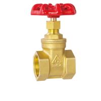 China Water Pipe Supply 50mm Gate Valve Dn50 2 Inch for sale