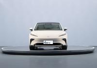 China 10.5h Charging Rising Auto F7 New Energy Pure Electric Vehicle Smart Car for sale