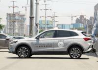 China Low Price Competitive 2WD Rising Auto Marvel R New Energy New Version EV New Car for sale