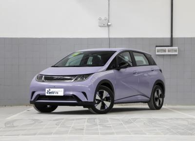 China 2024 ODM High Speed BYD EV Car Dolphin Whale Sedan 95Ps 420Km 180Nm 70Kw Pure New Energy Electric Vehicle for sale