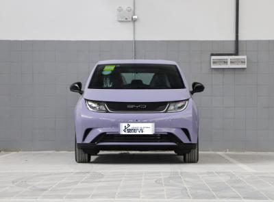 China 2024 OEM Export Sport Auto BYD EV Car Dolphin 5Door 5Seater 2Box Sedan Pure New Energy Car for sale
