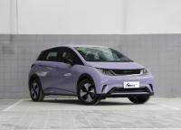 China Luxury Chinese Comfortable Sport New Energy Automatic Battery BYD EV Car Whale Pure Electric Vehicle for sale