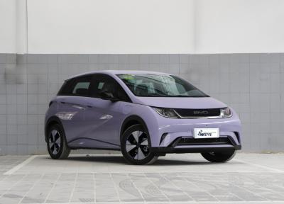 China Luxury Chinese Comfortable Sport New Energy Automatic Battery BYD EV Car Whale Pure Electric Vehicle for sale