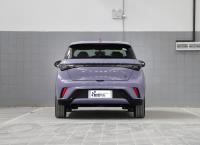 China Luxury Chinese Comfortable Sport New Energy Automatic Battery BYD EV Car Whale Pure Electric Vehicle for sale