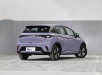China Luxury Chinese Comfortable Sport New Energy Automatic Battery BYD EV Car Whale Pure Electric Vehicle for sale